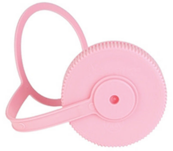 Nalgene Replacement Loop-Top Cap (Individual Pack)– Gearaholic